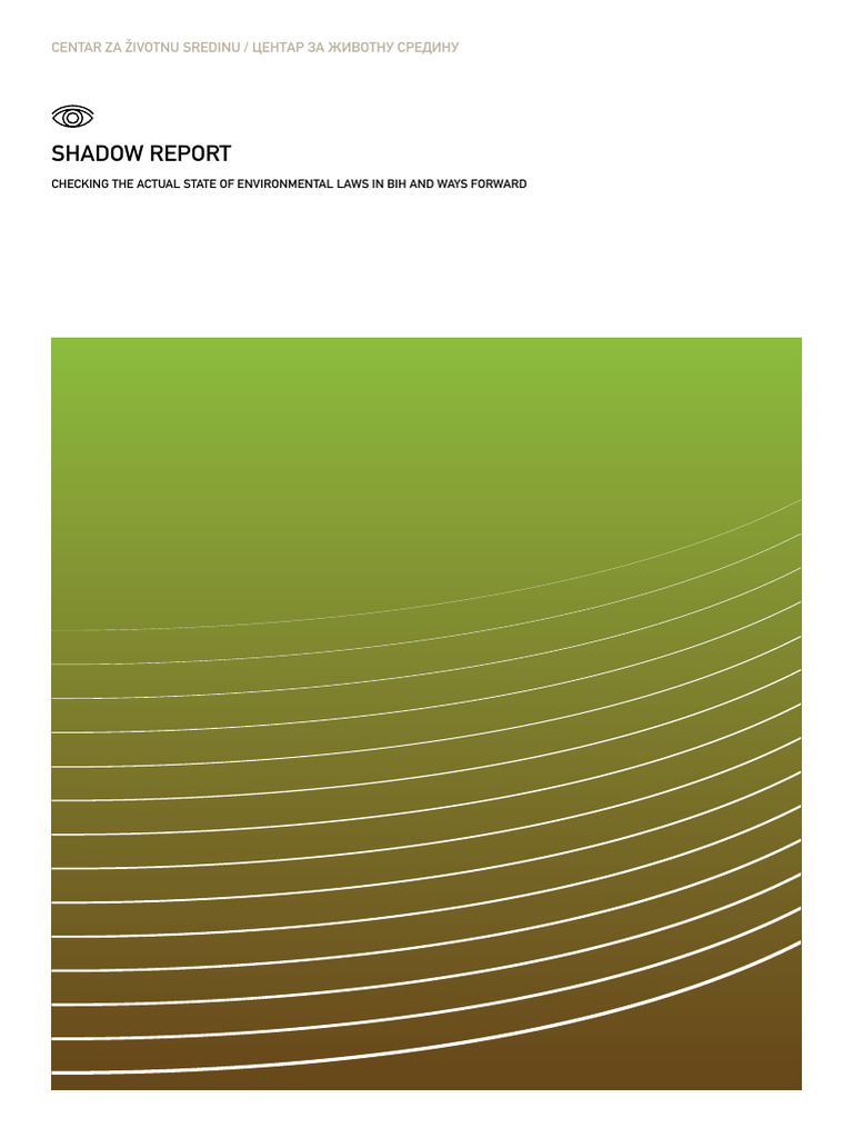 Shadow Report 2022 | PDF