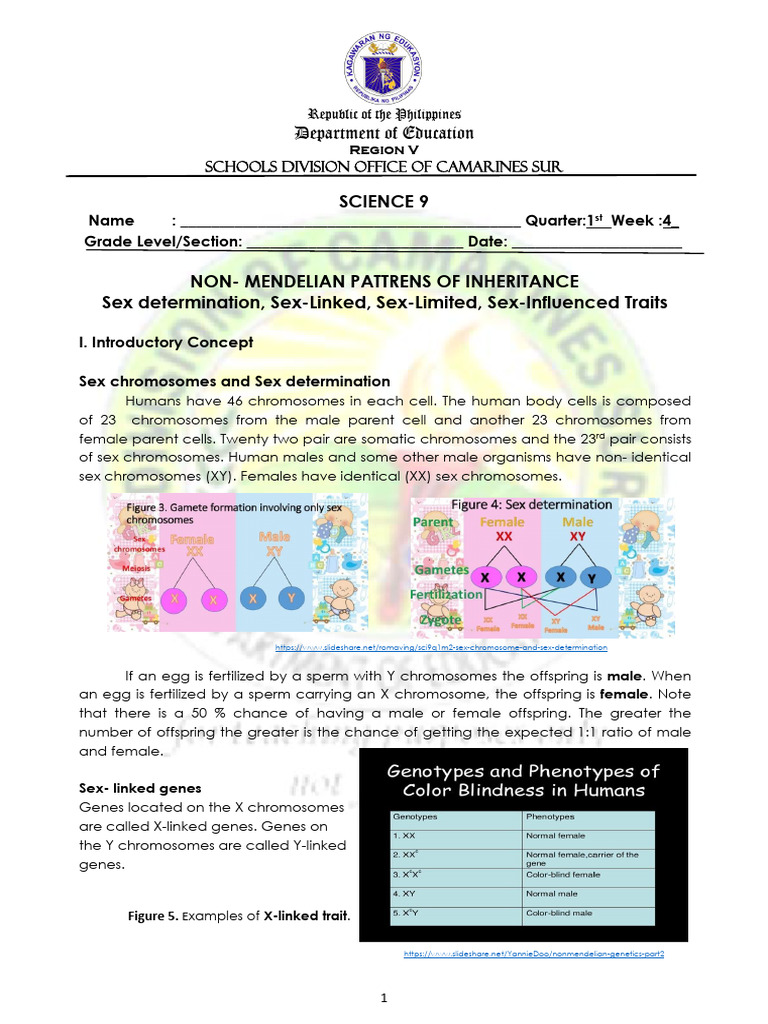 Q1W4 Non Mendelian Patterns of Inheritance2 | PDF | Dominance (Genetics ... Q1W4 Non Mendelian Patterns of Inheritance2 | PDF | Dominance (Genetics ...