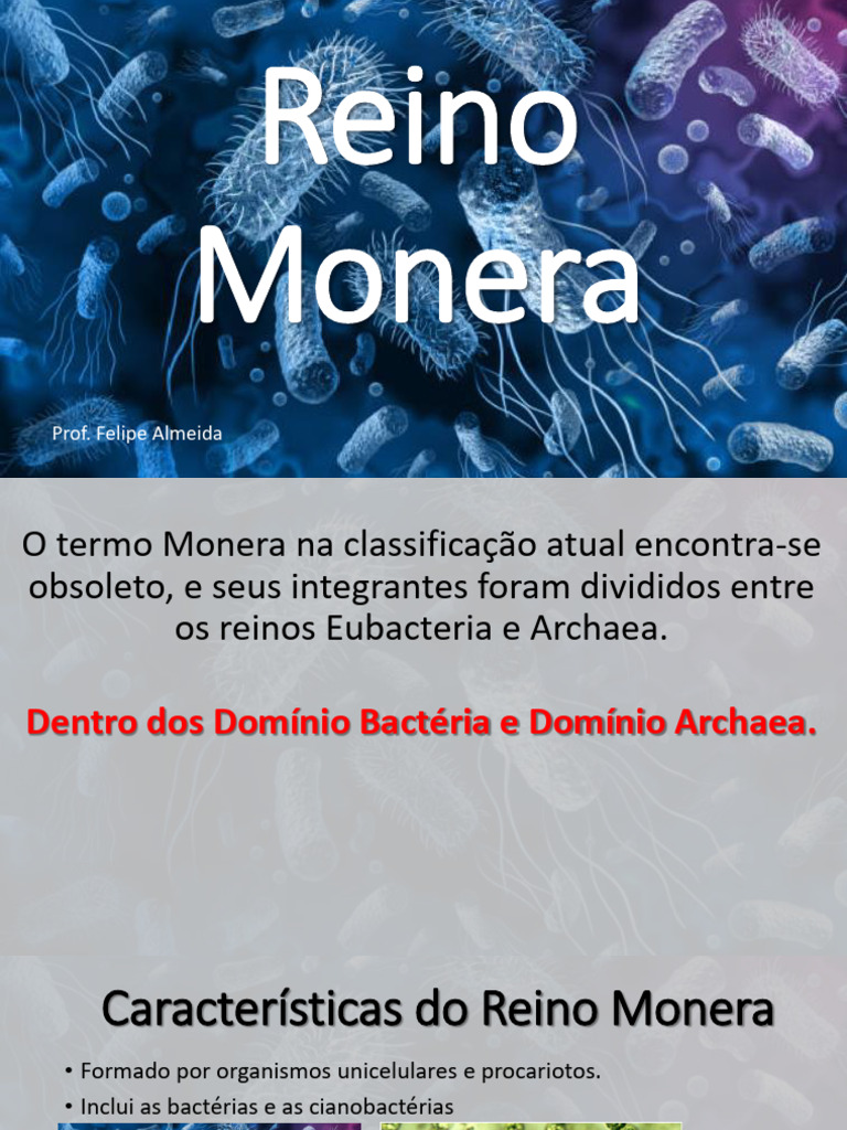 Aula 3 - Reino Monera | PDF