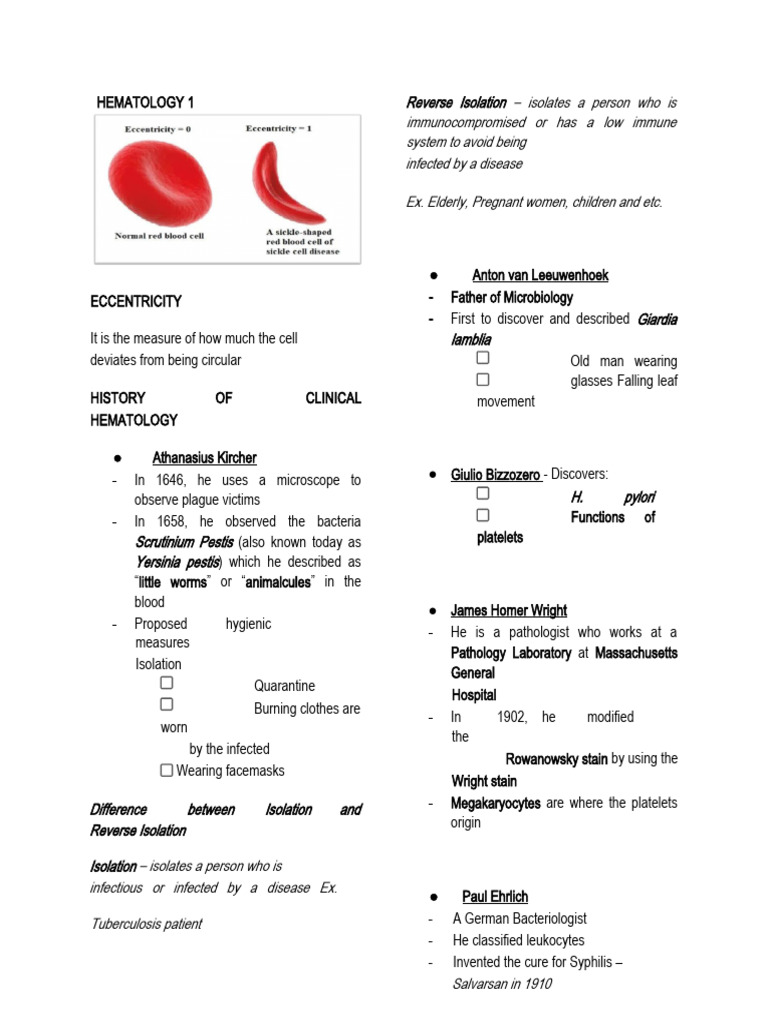 Hema Prelim | PDF | Haematopoiesis | Lymphatic System