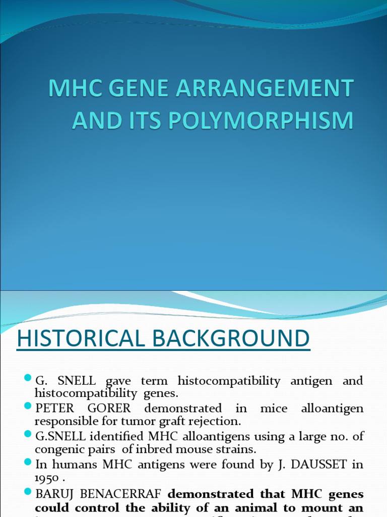 Lec 9MHC GENE ARRANGEMENT AND ITS POLYMORPHISM | PDF Lec 9MHC GENE ARRANGEMENT AND ITS POLYMORPHISM | PDF