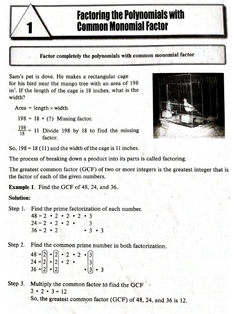 Math8 Lesson12 | PDF