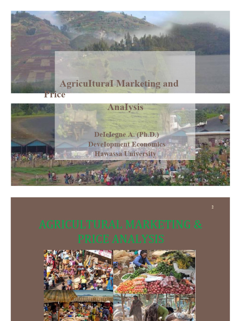 123 - Agricultural Marketing and Price Analysis | PDF | Market ...