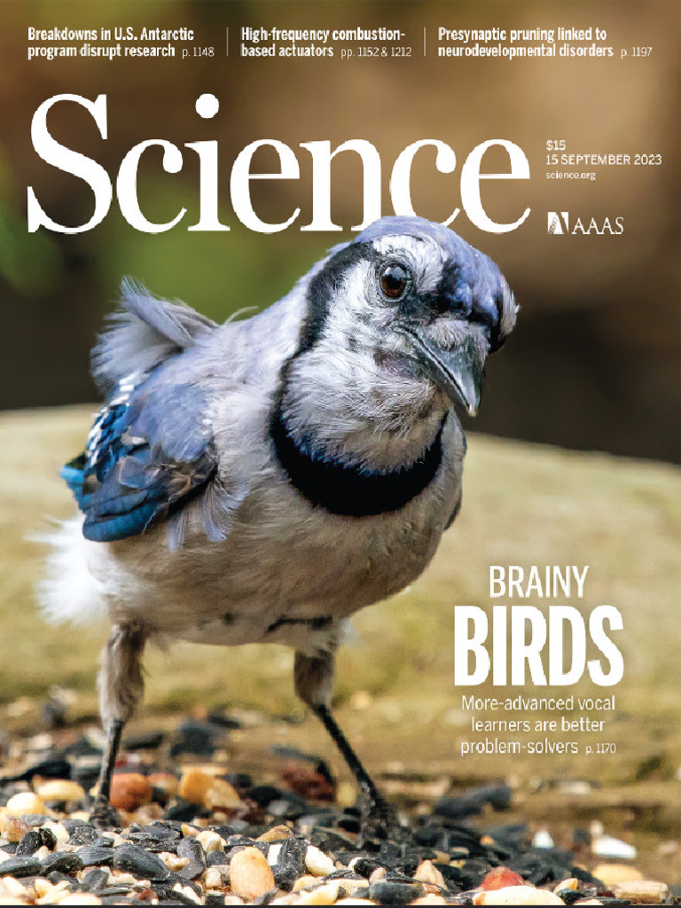 Science - 15 September 2023 | PDF