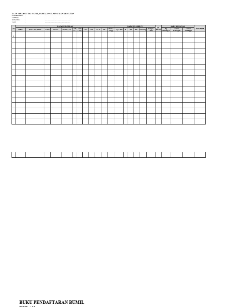 Format Data Posyandu | PDF