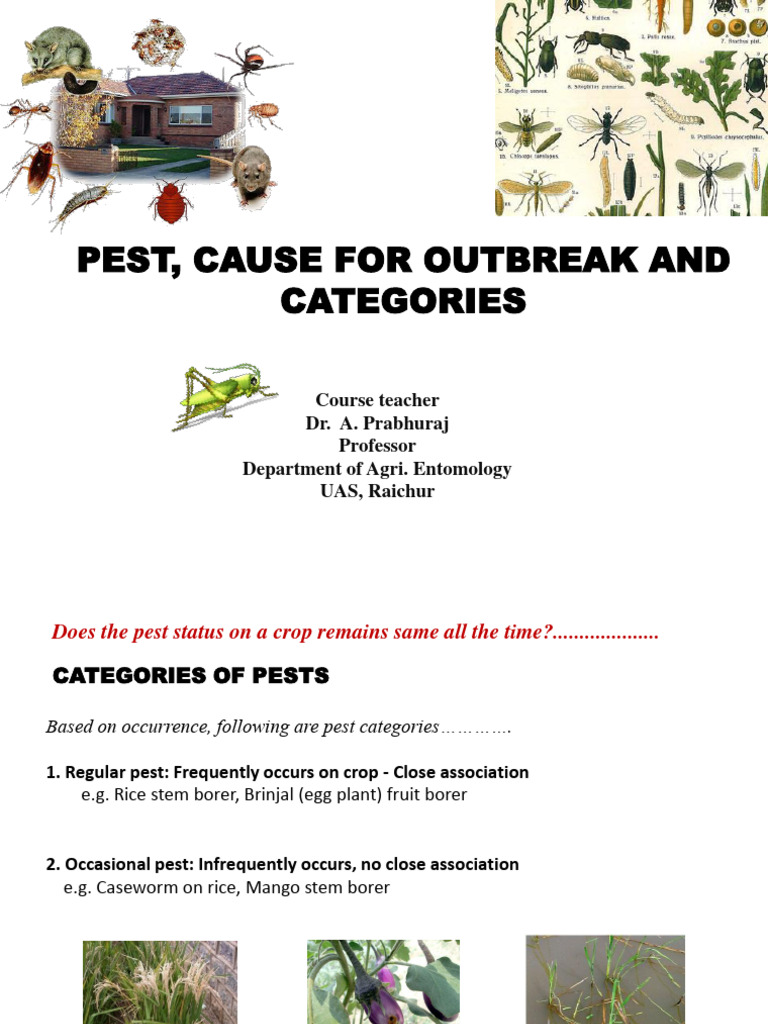 Lecture 4 Slides | PDF