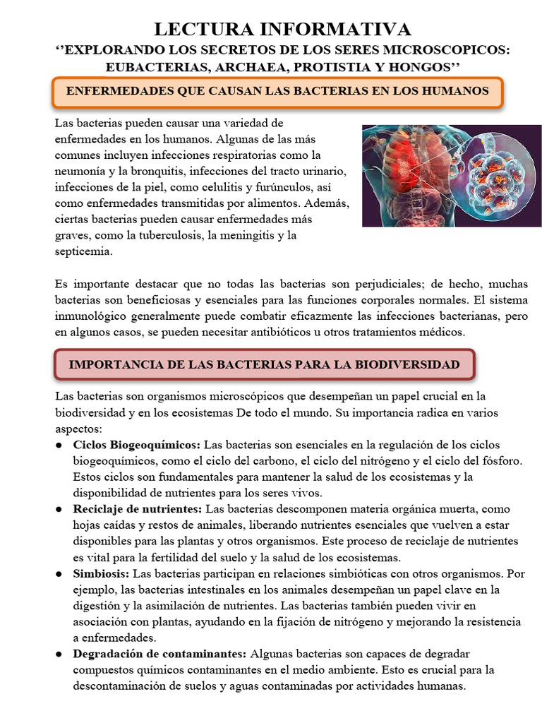 Ficha Informativa | PDF | Las bacterias | Hongo