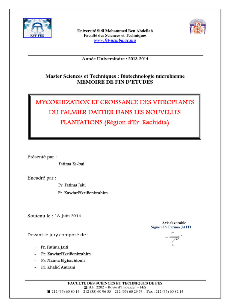 MYCORHIZATION ET CROISSANCE DES VITROPLANTS DU PALMIER DATTIER DANS LES ...