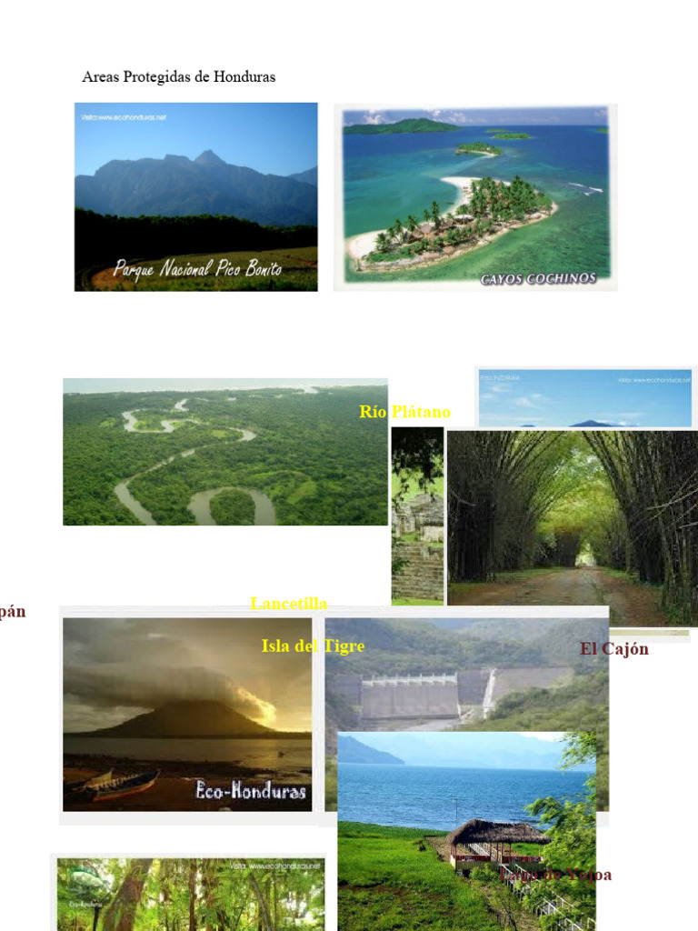 Areas Protegidas de Honduras | PDF