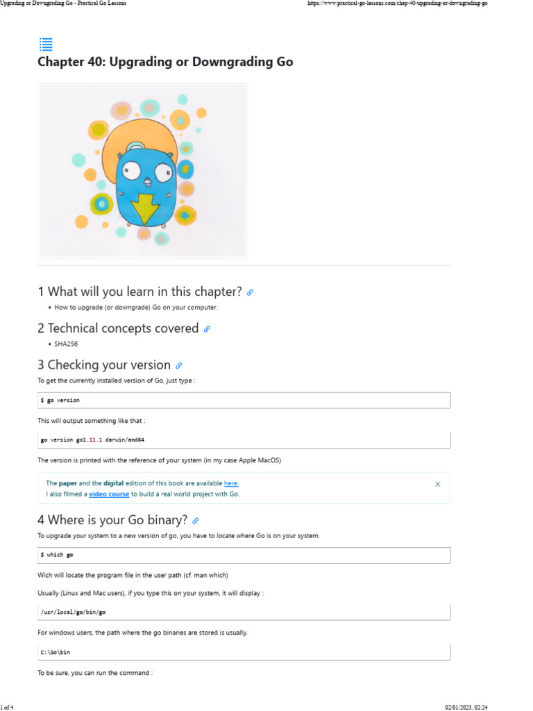 Upgrading or Downgrading Go - Practical Go Lessons-40 | PDF