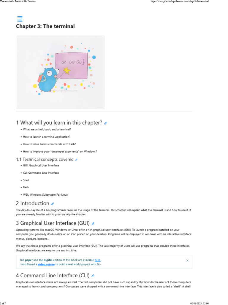 The Terminal - Practical Go Lessons-3 | PDF