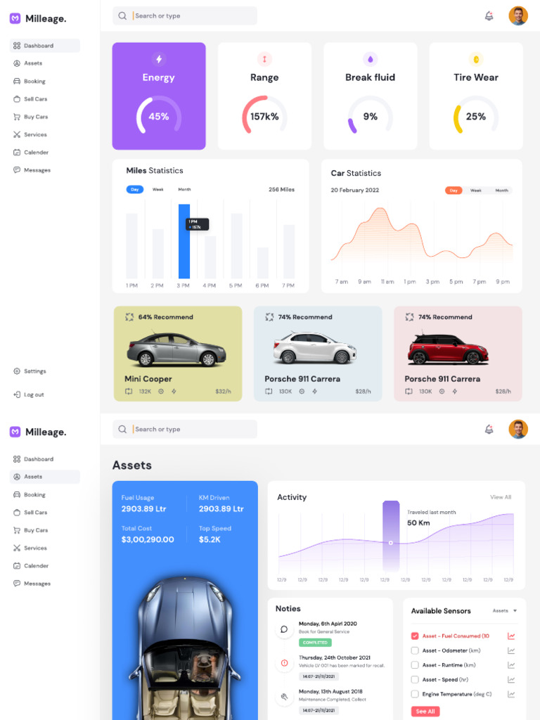 Car Management Dashboard Overview | PDF