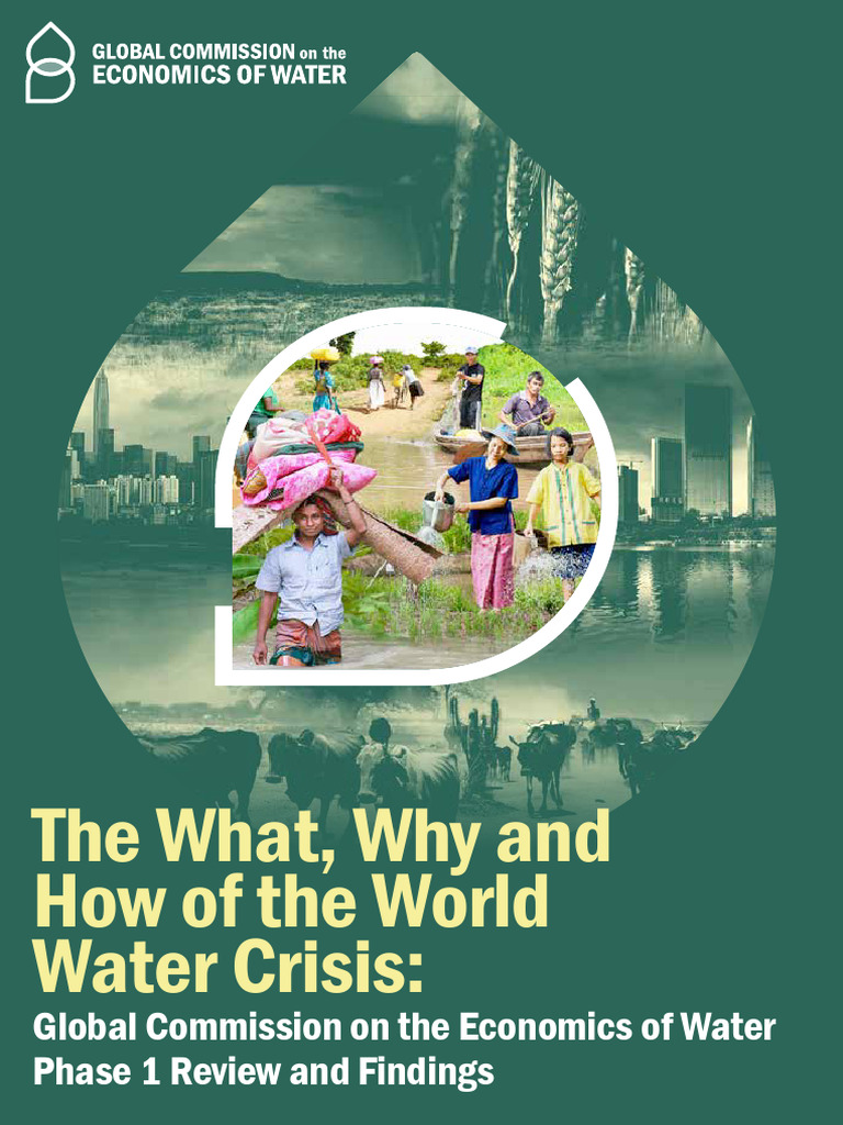 The What Why and How of The World Water Crisis 1683265017 | PDF | Water ...