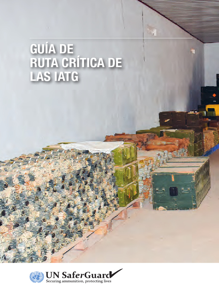 Critical Path Guide To The IATG-ES-Web | PDF