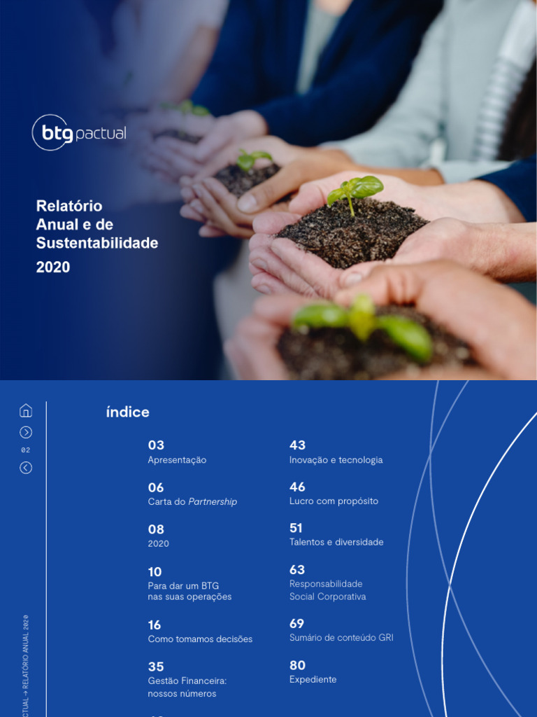 BTG Relatório Anual 2020 | PDF