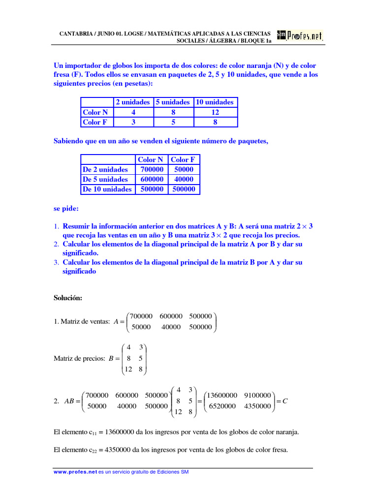 Ej Resueltos Matrices SM | PDF | Matriz (Matemáticas) | Ecuaciones