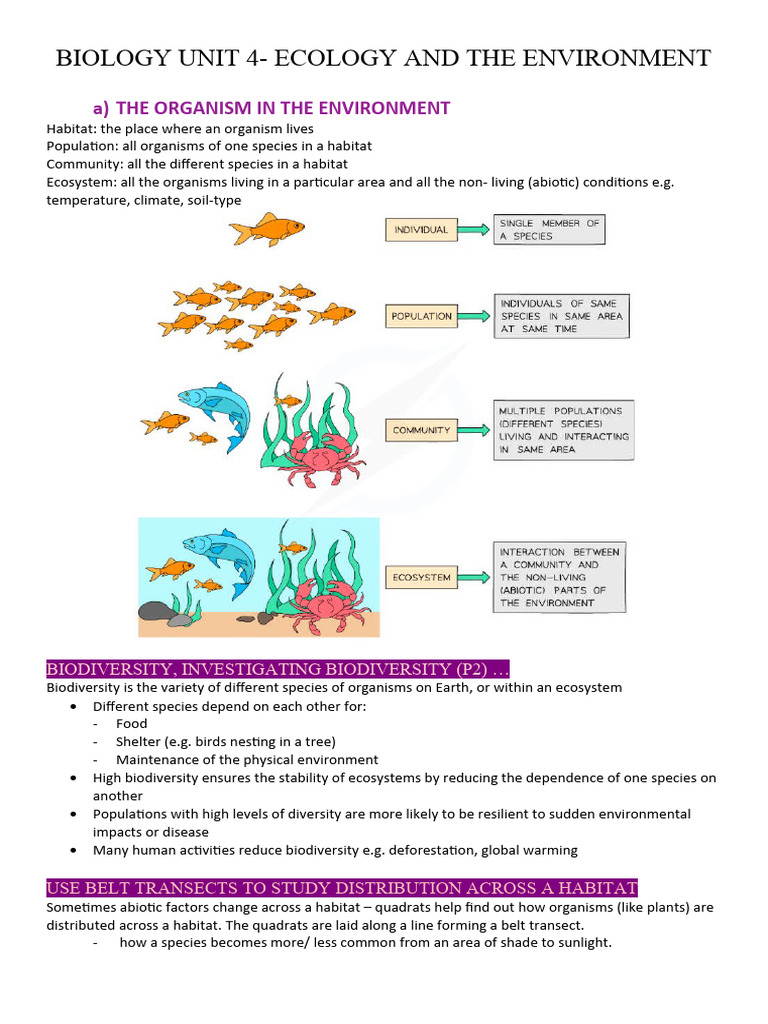 Biology Unit 4 - Ecology and Environment | PDF | Greenhouse Effect ...
