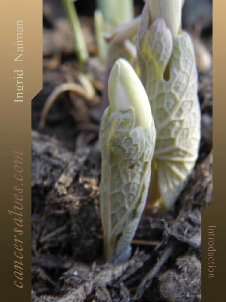 Ingrid Naiman - Hoxsey Cancer Salves - A Botanical Approach To ...