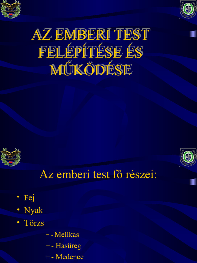 Az Emberi Test Felépítése És Működése2 | PDF