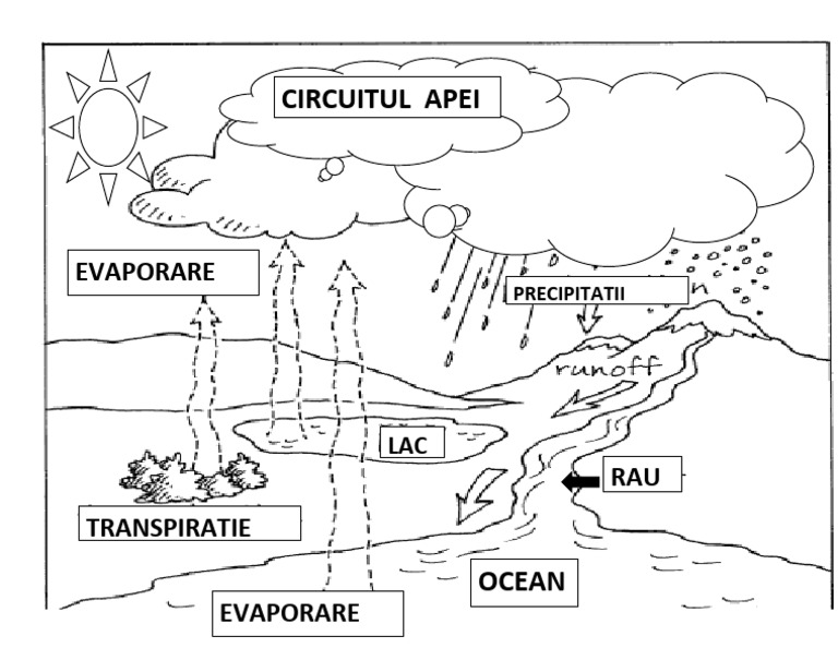 0 Circuitul Apei | PDF