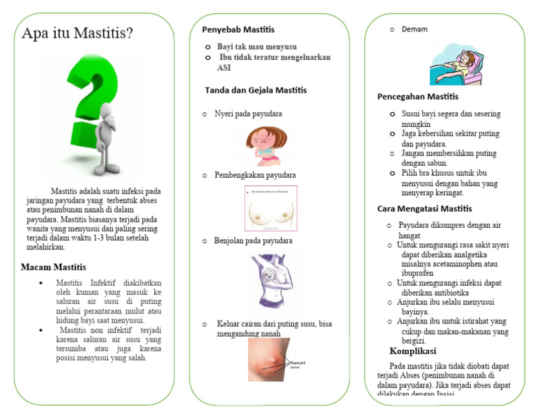Leflet Mastitis | PDF
