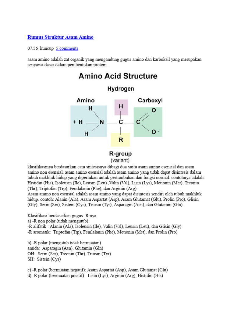 Rumus Struktur Asam Amino | PDF