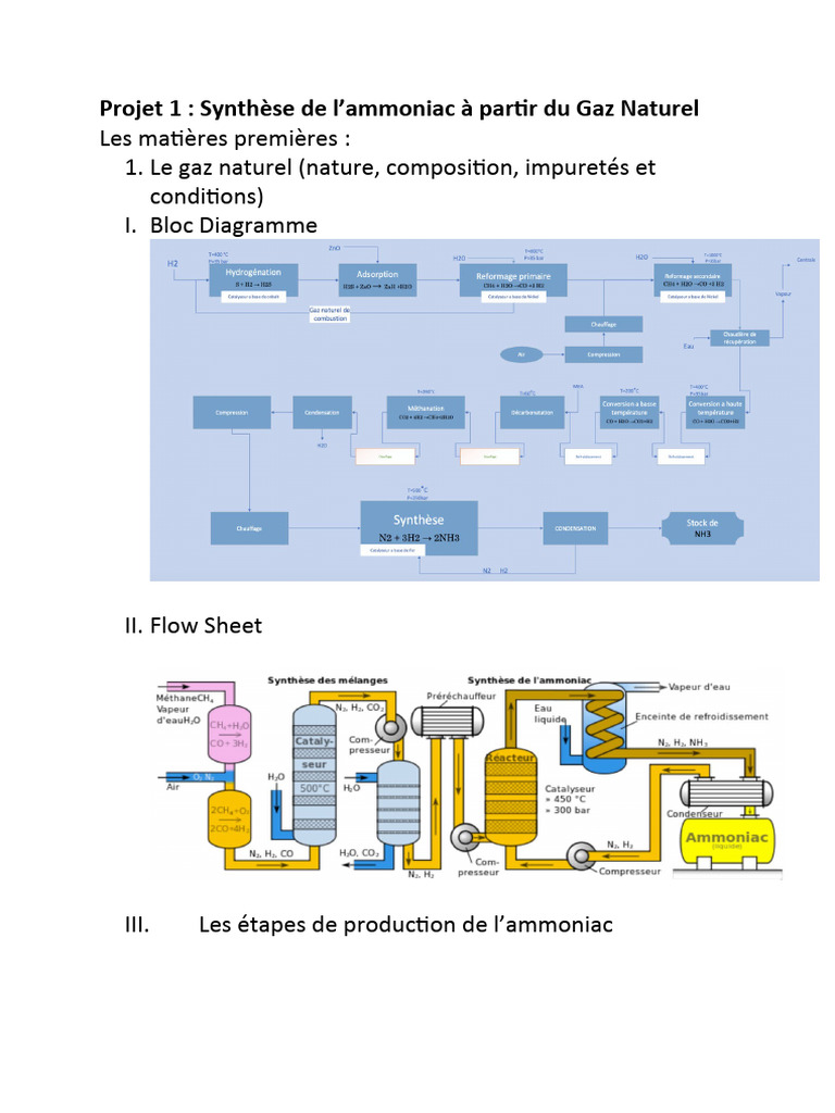 Projet 1 | PDF