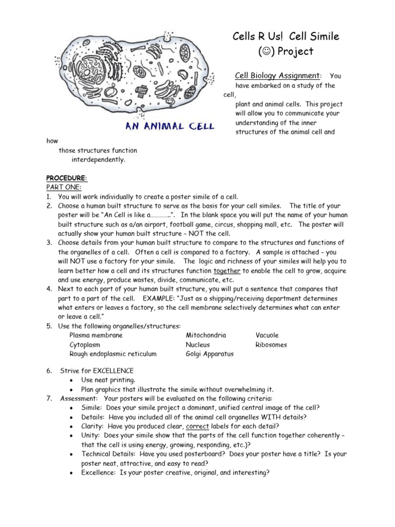 8 Cells - Simile - Assignment | PDF | Endoplasmic Reticulum | Cell (Biology)
