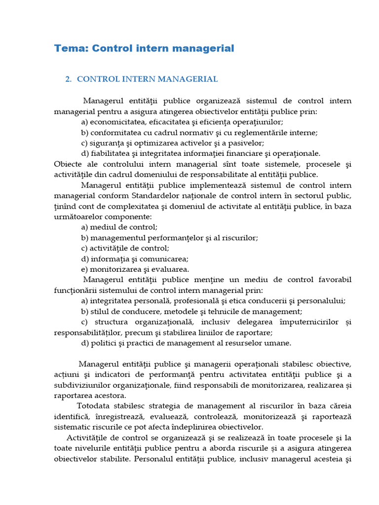 Control Intern Managerial | PDF