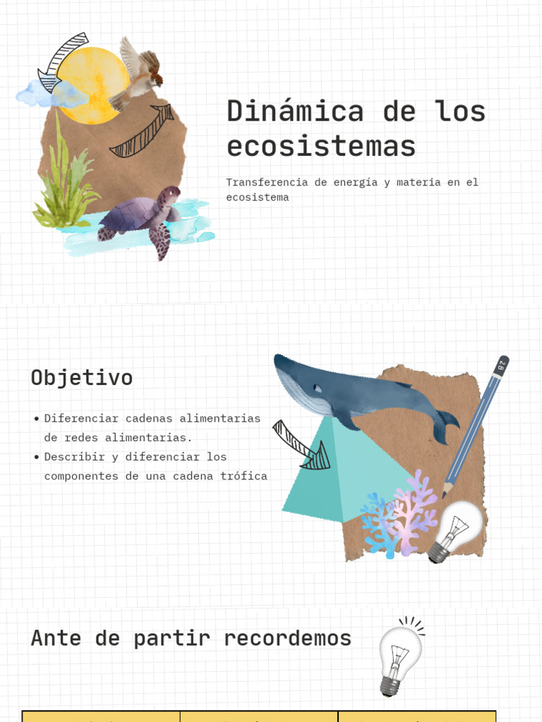 Copia de Energy Transfer in An Ecosystem Science Presentation in White ...