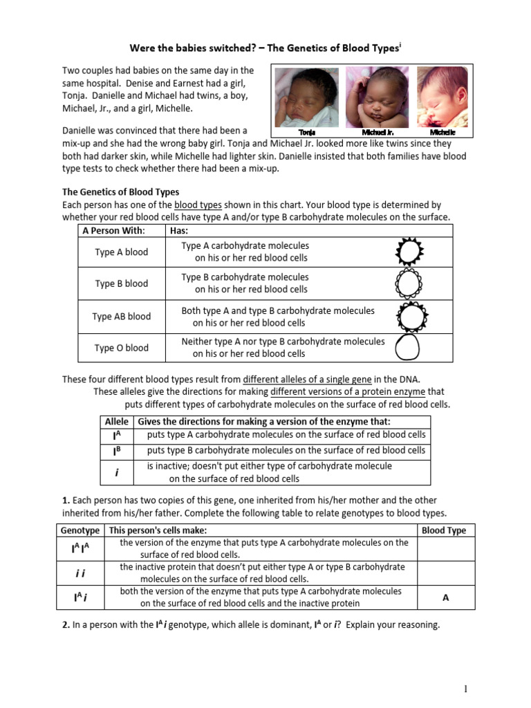 Blood Type Genetics Protocol | PDF | Dominance (Genetics) | Blood Type