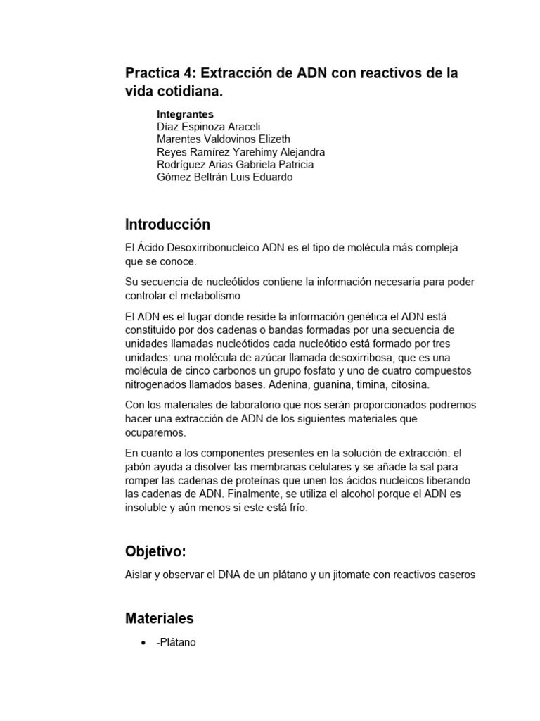 Practica 4 de Genetica | PDF | Adn | Nucleótidos