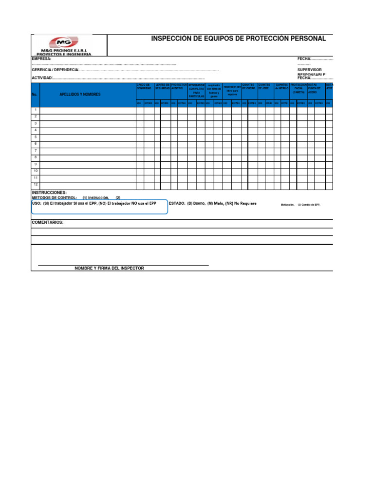 Formato Inspeccion de EPP | PDF