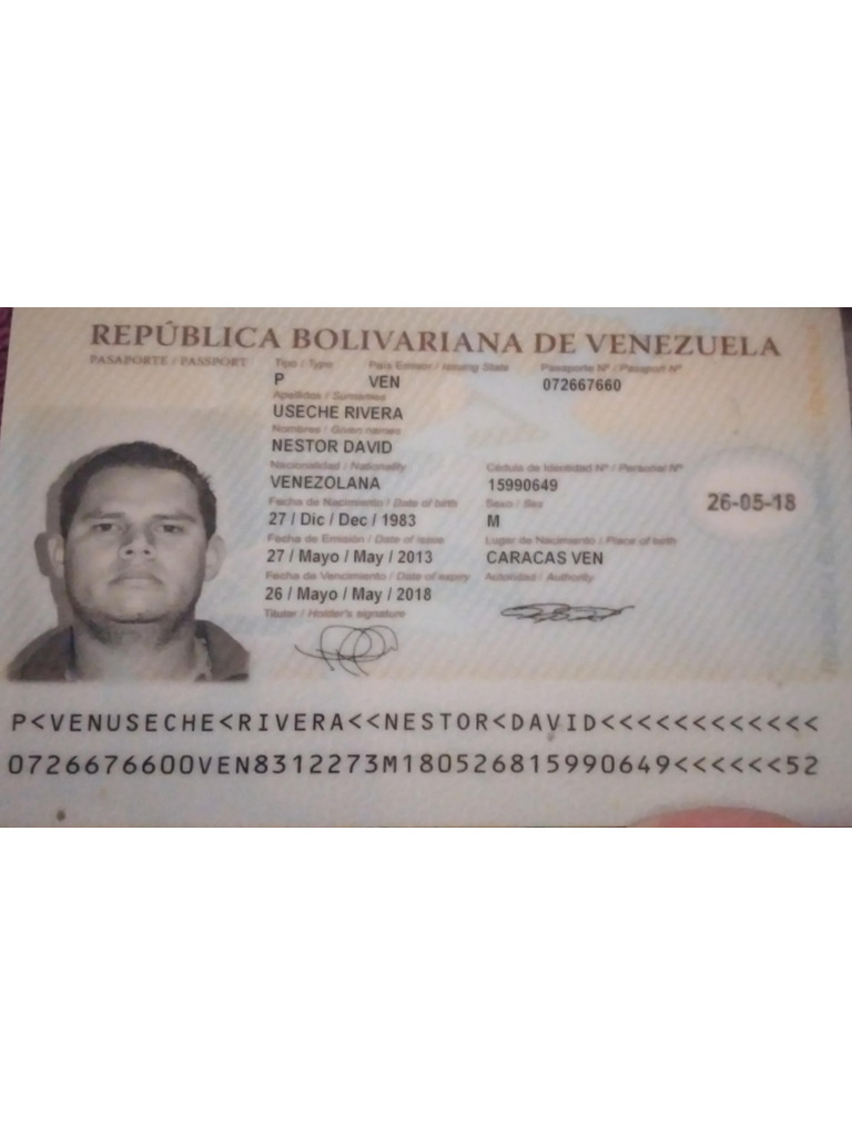 Pasaporte de David | PDF
