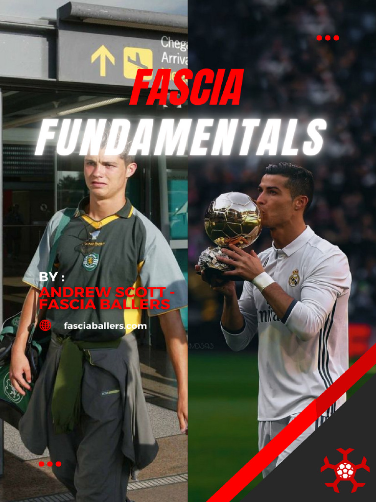 Fascia Fundamentals E-Book | PDF | Foot | Weight Training