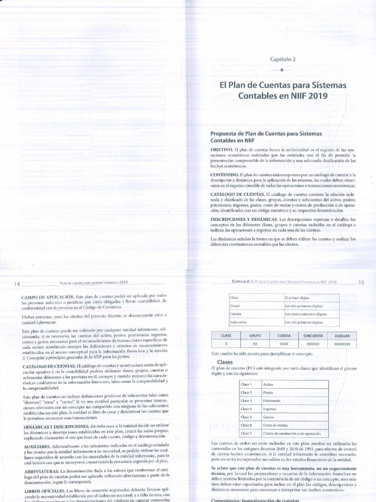 Plan de Cuentas Bajo Niif | PDF