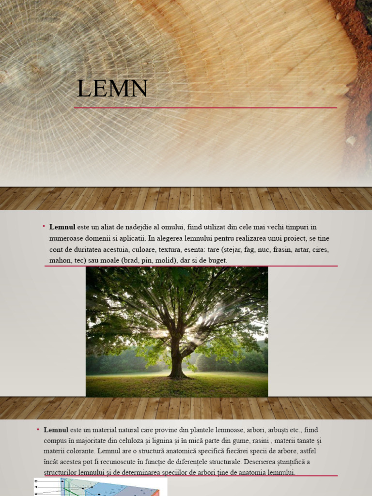 LEMN | PDF