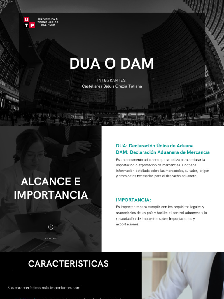 Dam o Dua | PDF | aduana | Arancel