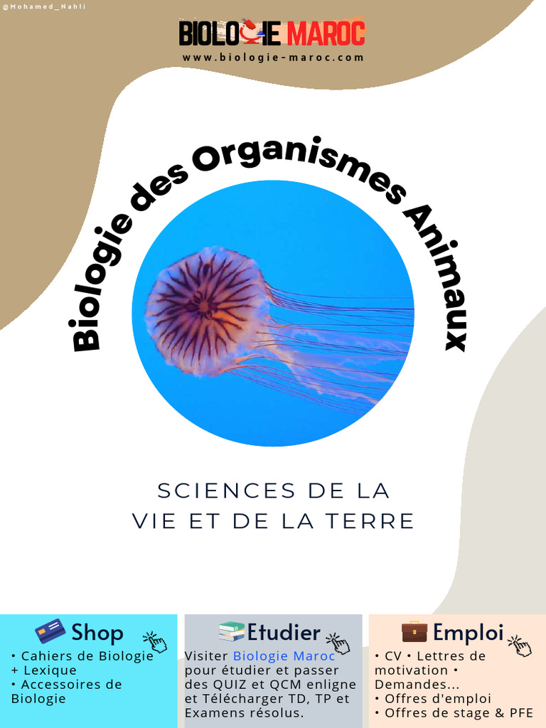 Anatomie Comparée des Vertébrés | PDF | Branchie | Poumon
