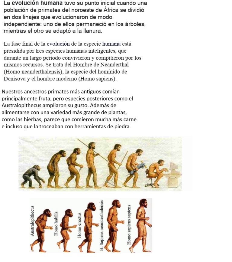 Evolucion de Ser Humano | PDF