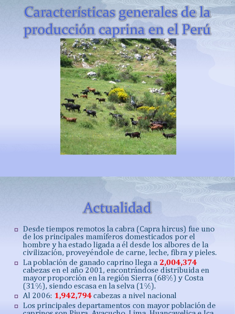 Producción Caprina en El Peru | PDF | Cabra | Carne