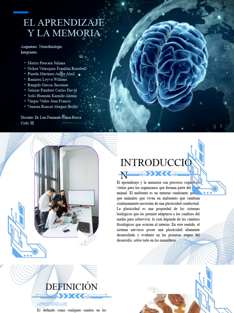 Neurofisiología del Aprendizaje y Memoria | PDF | Memoria | Aprendizaje