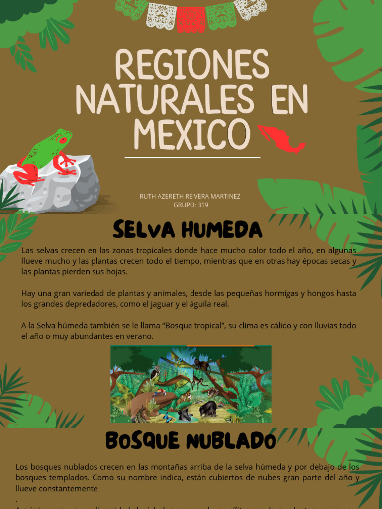 Regiones Naturales en Mexico Actualizadas | PDF | Selva | Geografía Física