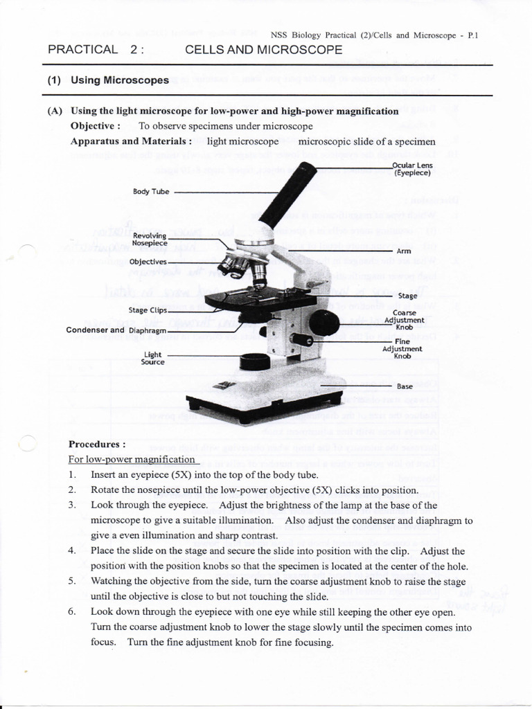 Practical2 Cells and Microscope | PDF