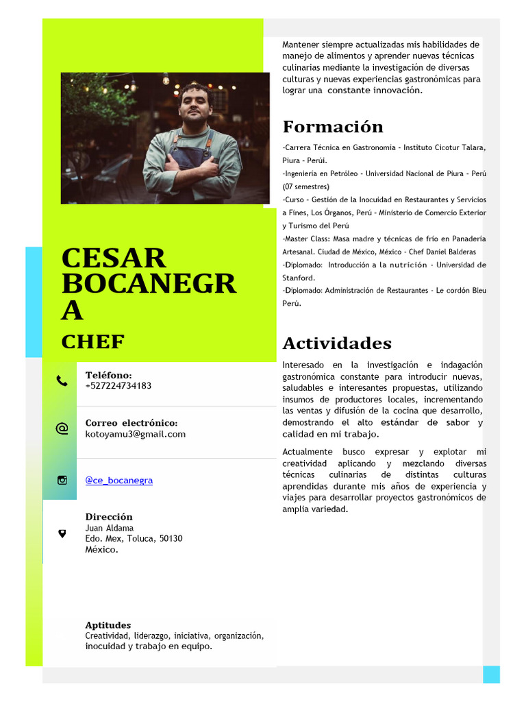 C.V. Cesar Bocanegra (Español) | PDF