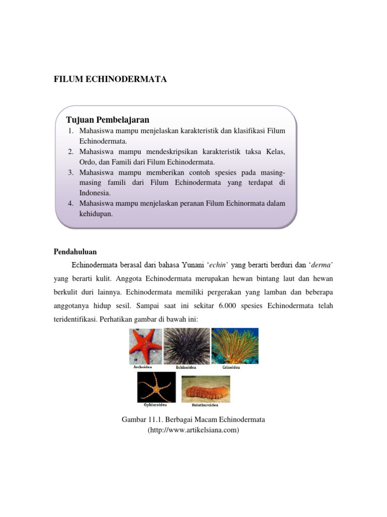 Filum Echinodermata | PDF