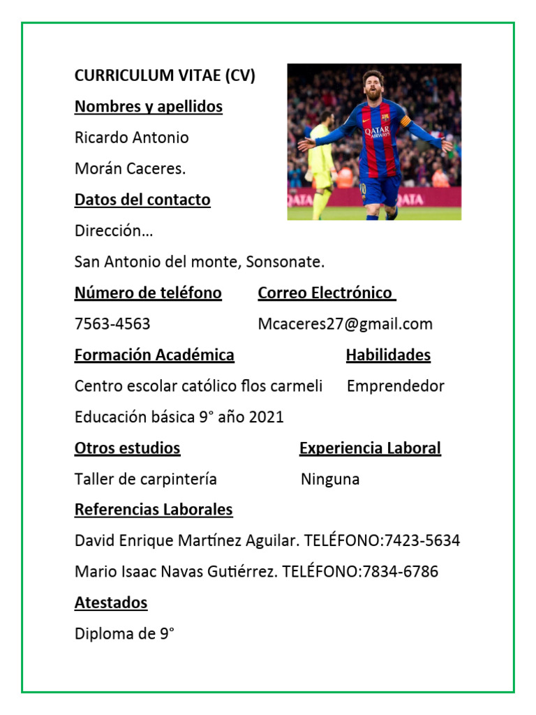 Curriculum Vitae | PDF