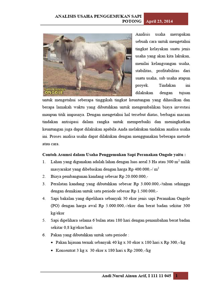 Analisis Usaha Penggemukan Sapi Potong | PDF