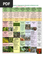 Class 11 - Biology Important Diagrams | PDF | Leaf | Bacteria