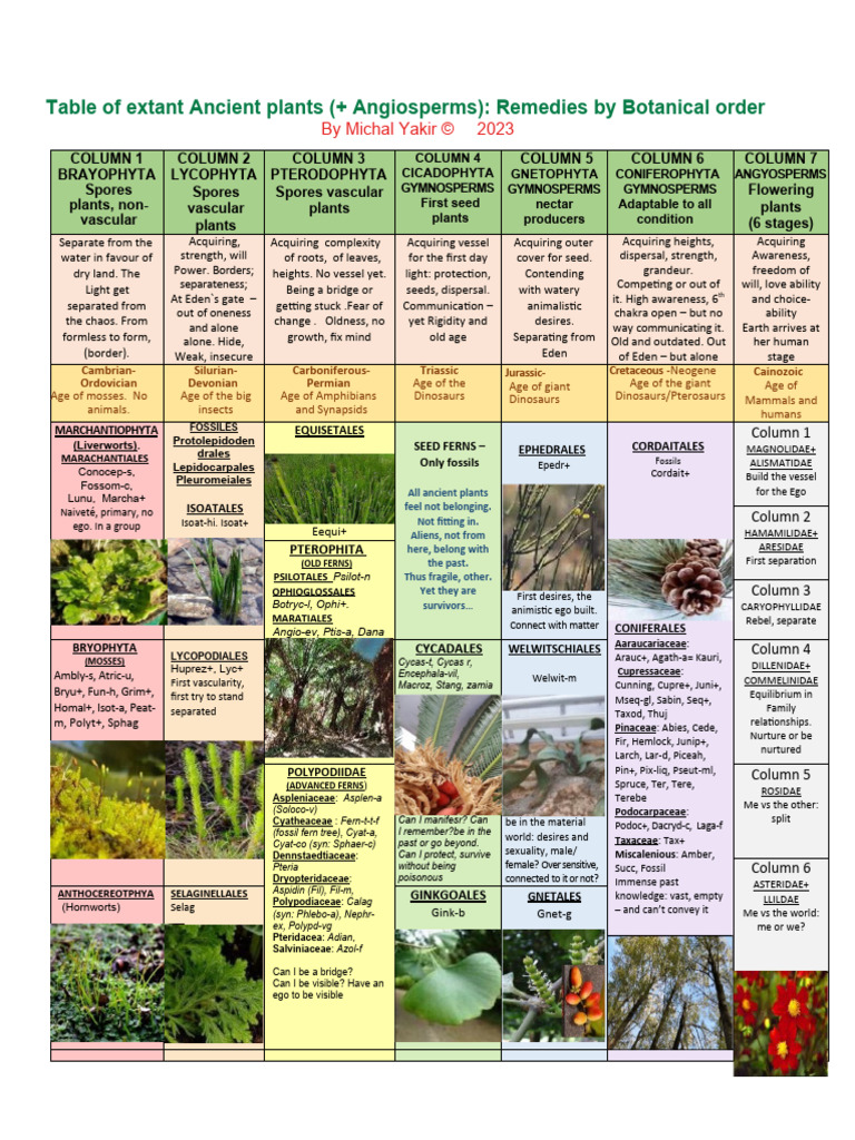 Ancient Plants and Their Remedies | PDF | Plants | Organisms